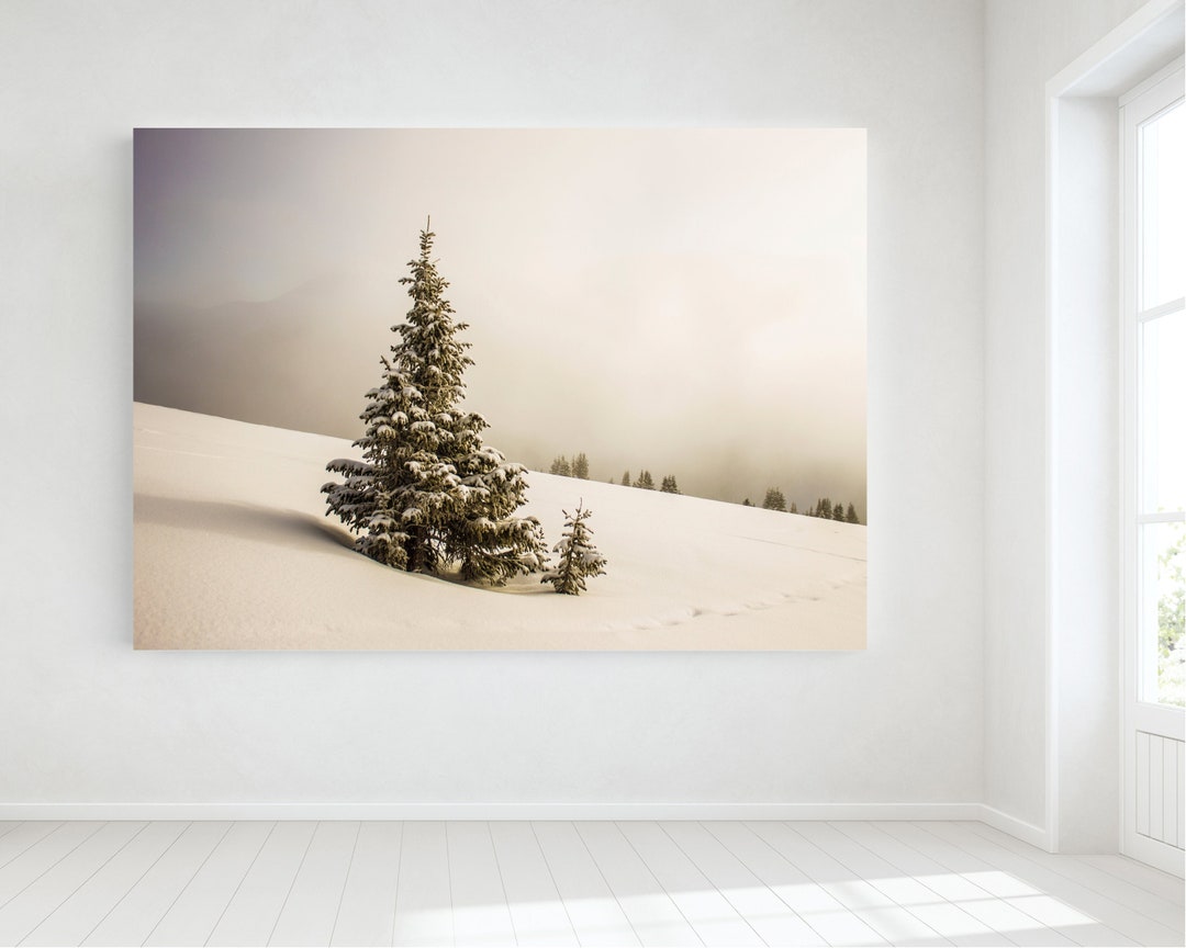 Pine Tree in Winter, Pine Tree Art Print, Snow Covered Trees, Landscape ...