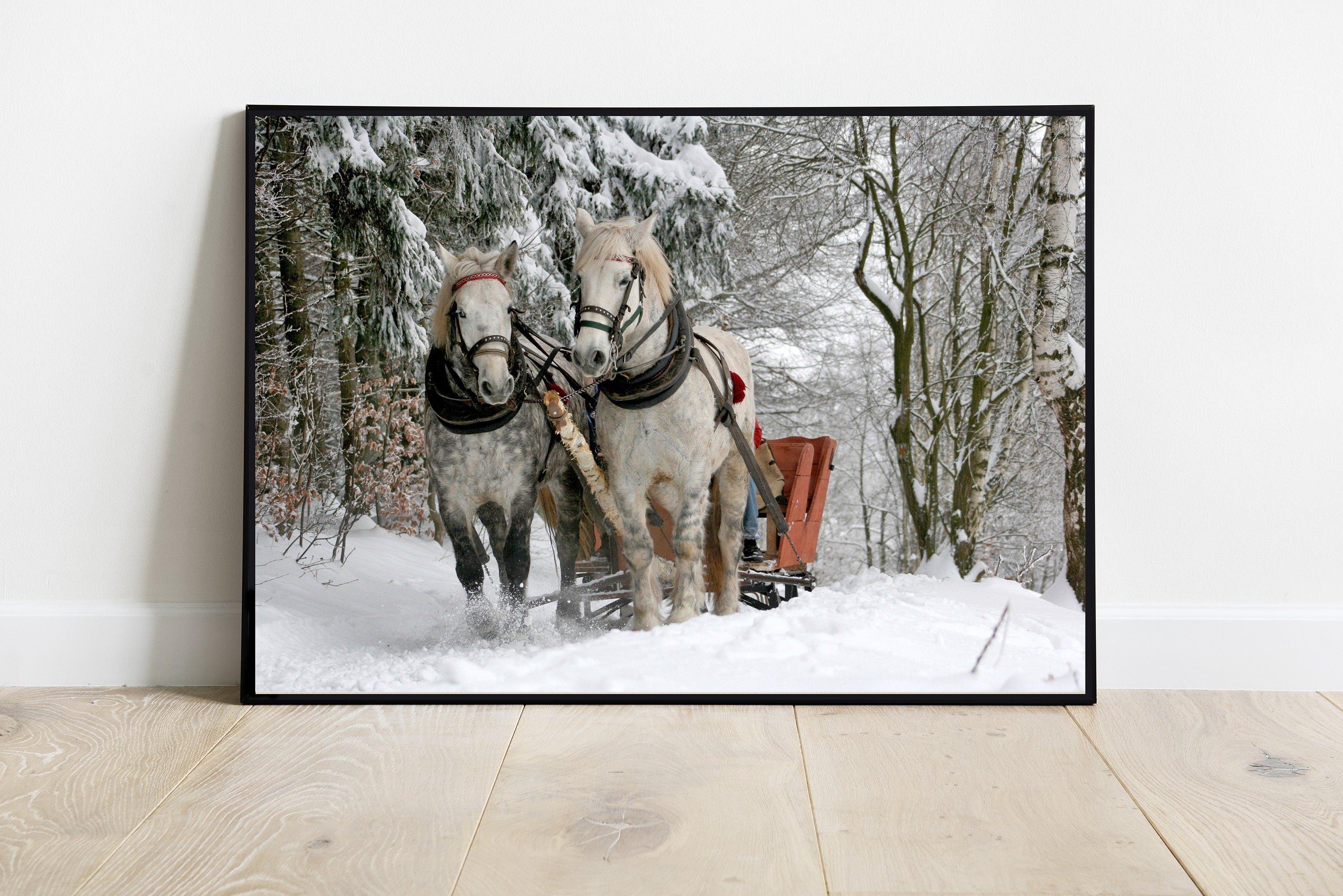 Horse Drawn Sleigh, Large Wall Art, Horse Art Print, Large Canvas Art ...