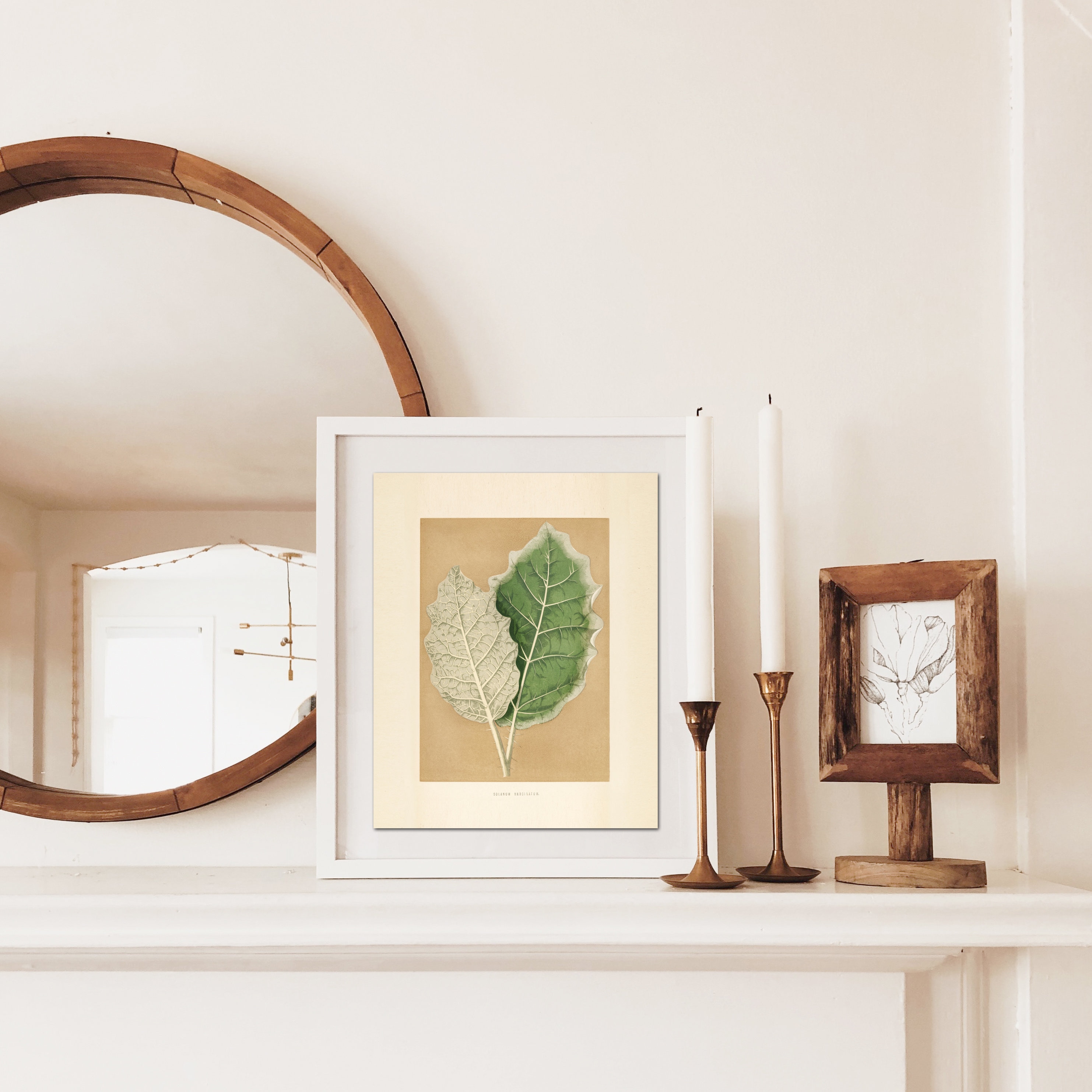 Nightshade Leaf Illustration, Fine Art Print, Vintage Leaf Art Print ...