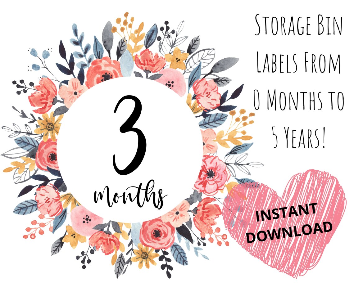 Baby Girl Clothing Bin Labels - Printable Labels for Storage Totes - 0 ...