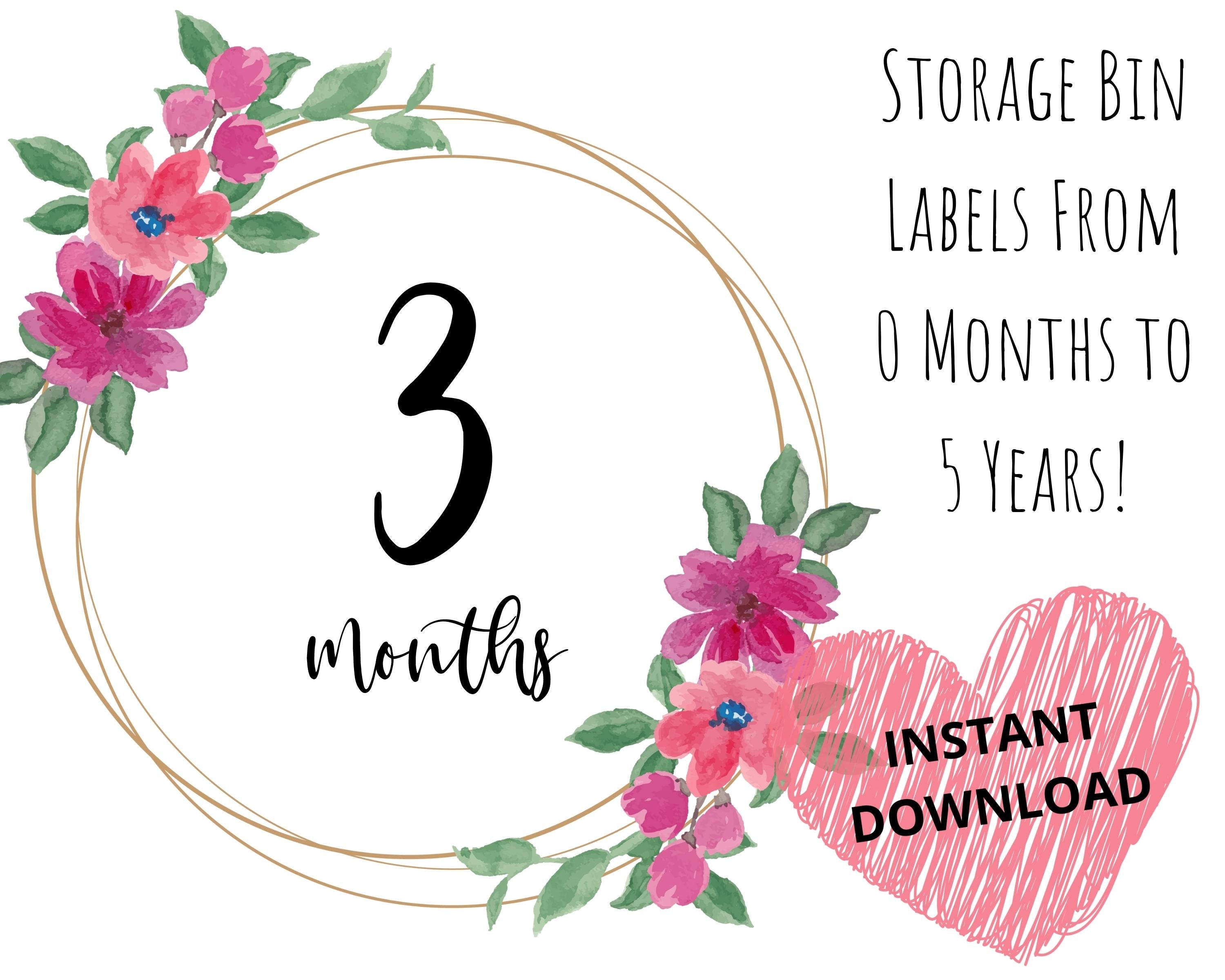 Easy Girls Storage Tote Bin Labels | Floral | 0 Months to 5 Years ...