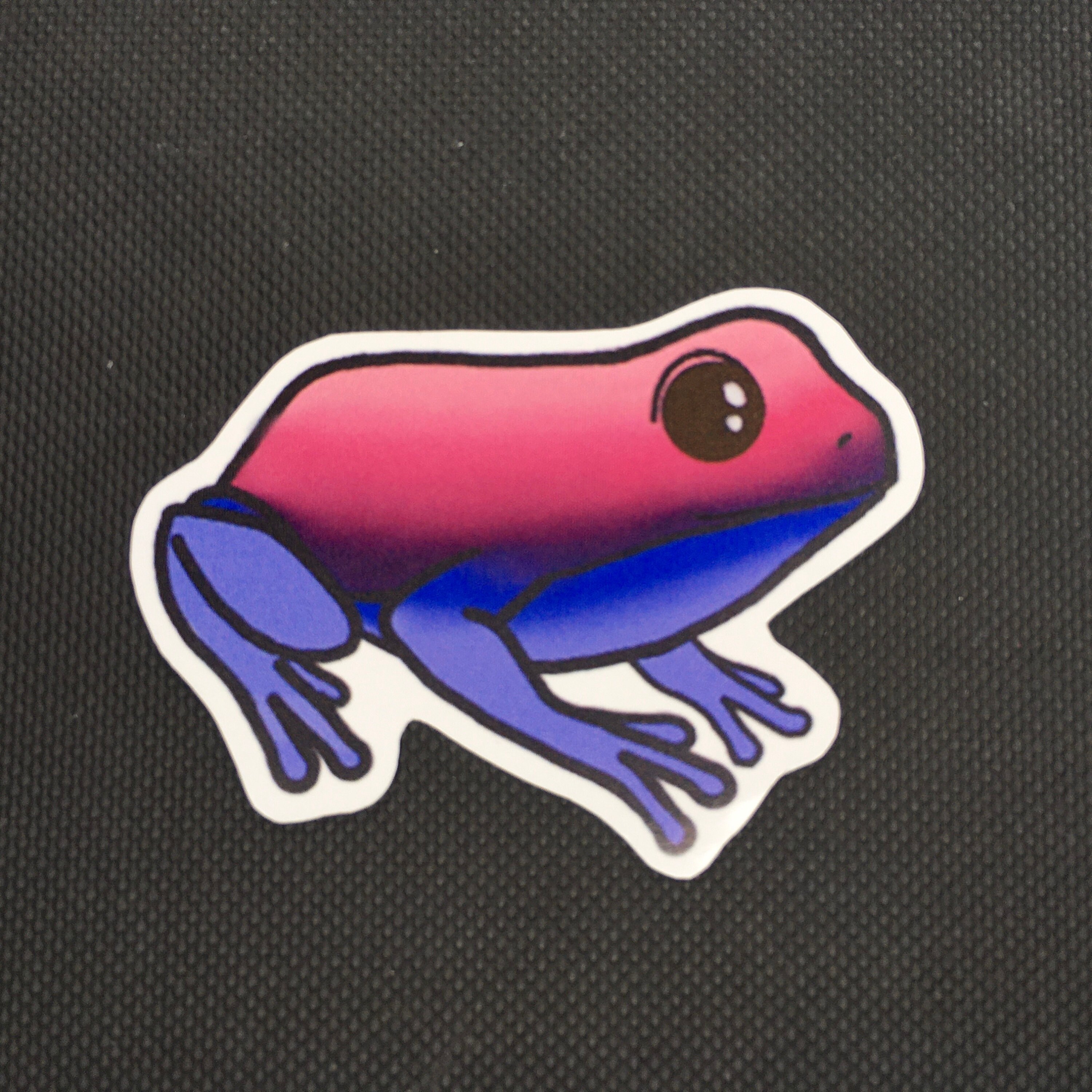 Omnisexual Pride Frog - Etsy