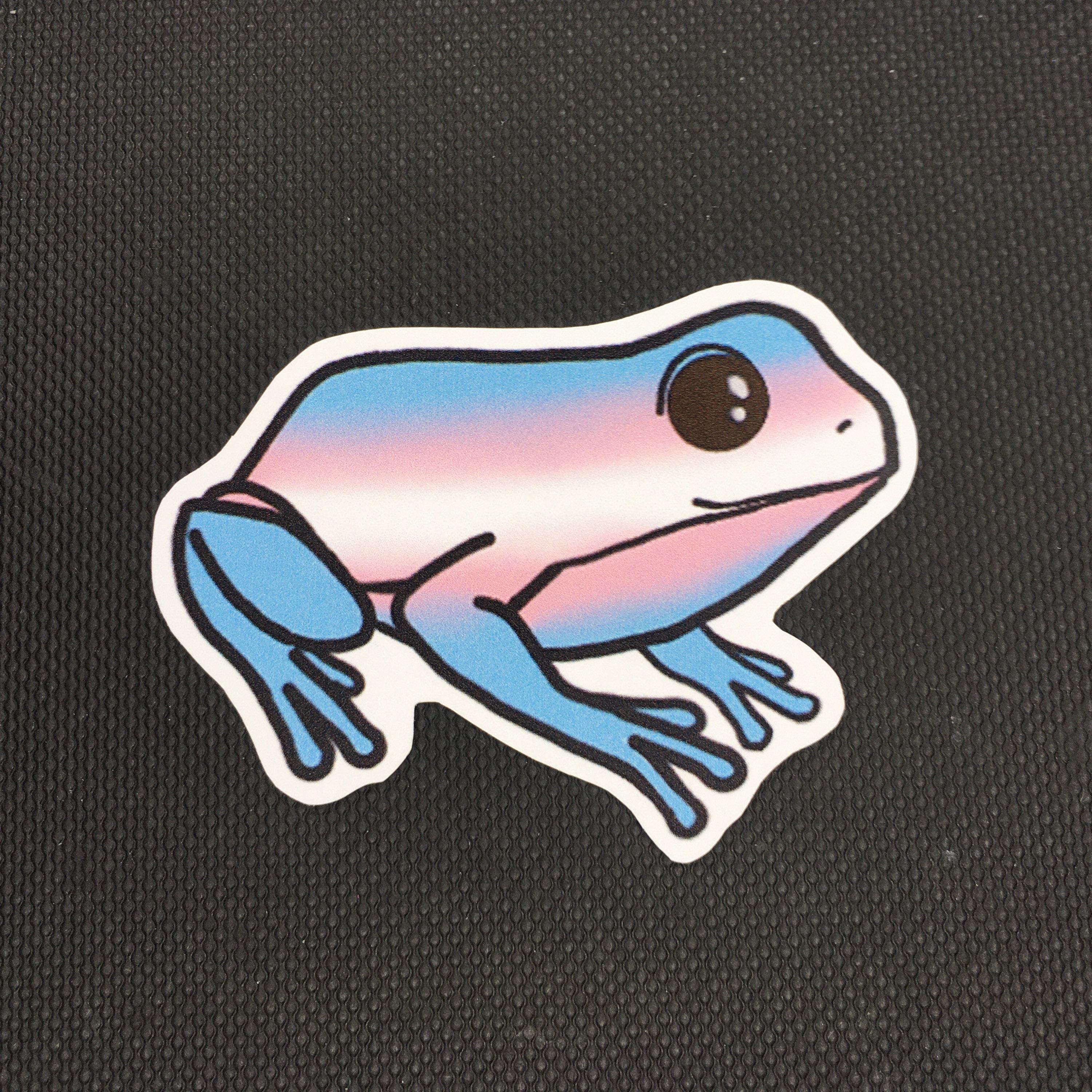 Transgender Pride Frog | Etsy
