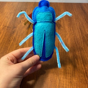 Bug Catnip Cat Toys Bug Cat Toy Beetle Cat Toy Catnip Cat - Etsy