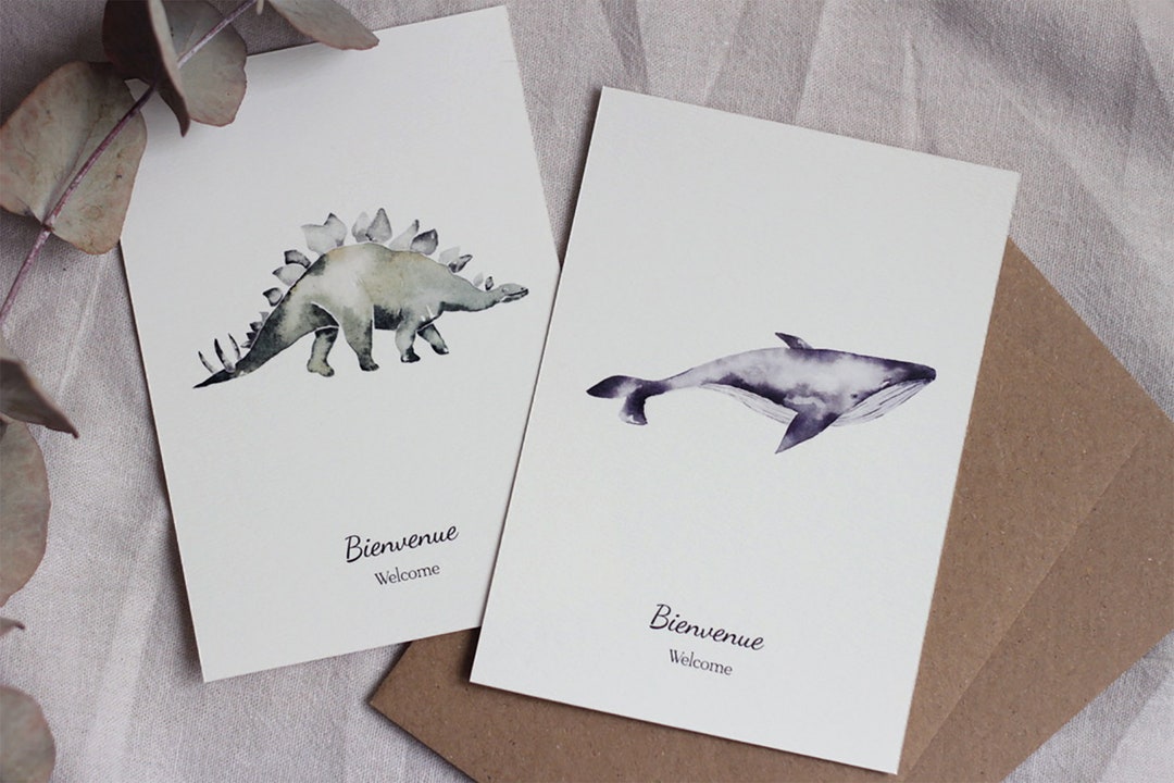 Set of 2 Birth Congratulations Cards - Etsy