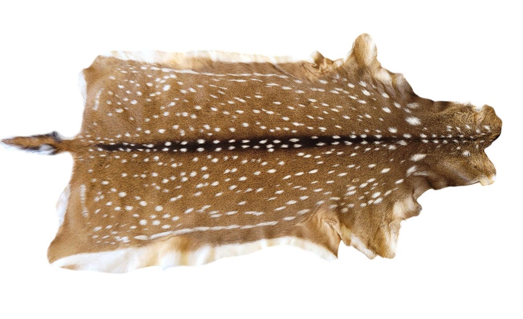 Axis Deer Hide - Etsy