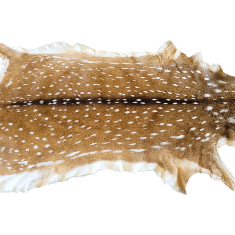 Deer Hide - Etsy