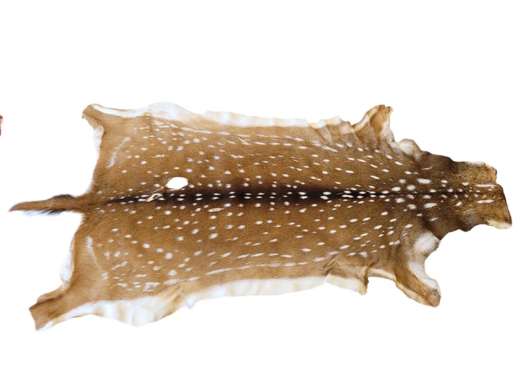 Axis Deer Hide - Etsy
