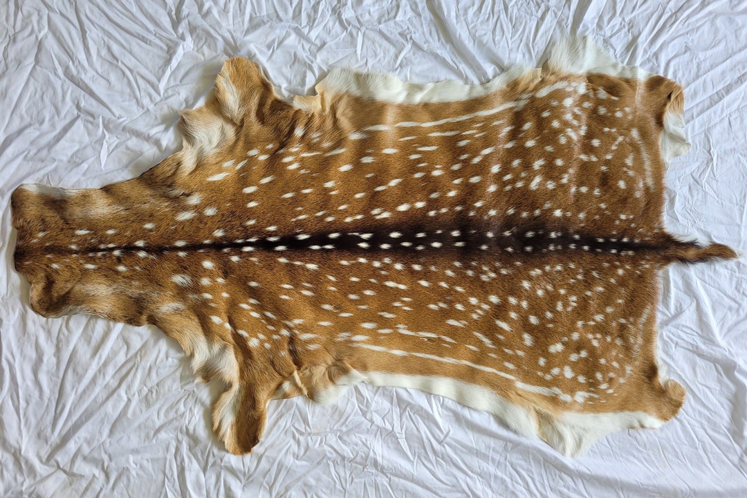 Hawaii Axis Deer Hide - Etsy