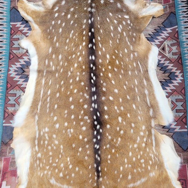 Deer Hide - Etsy