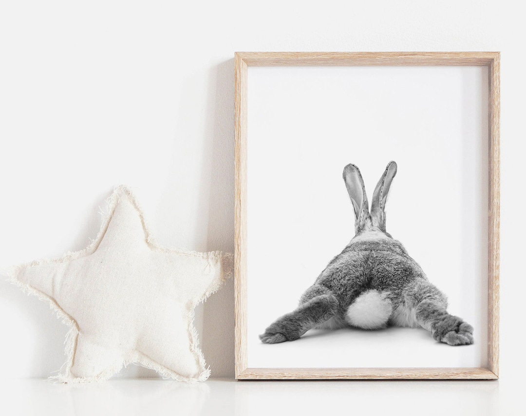 Bunny's Back, Bunny Butt, Rabbit Print, Baby Animal, Bunny Tail, Bunny ...