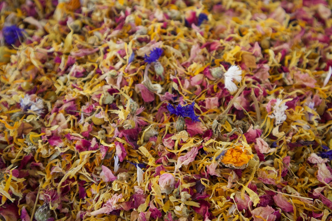 Flower Fiesta Mix Small Animal Forage - Etsy