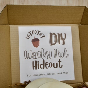 DIY Wacky Hut Hideout Kit - Small Animal Accessories for Hamsters ...