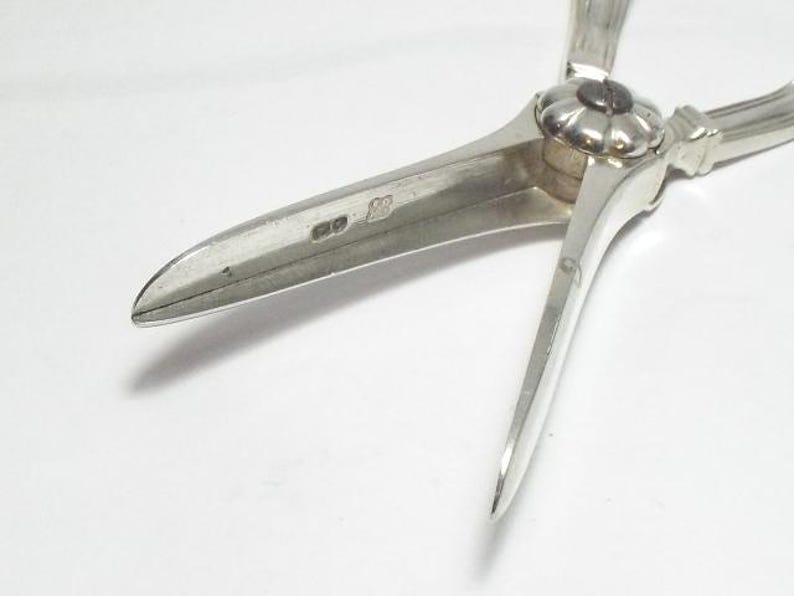 Antique Victorian 118g STERLING SOLID SILVER Grape Scissor's, Charles ...