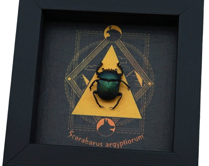 Real Sacred Egyptian King Scarab Beetle Pyramid Real Framed Green ...