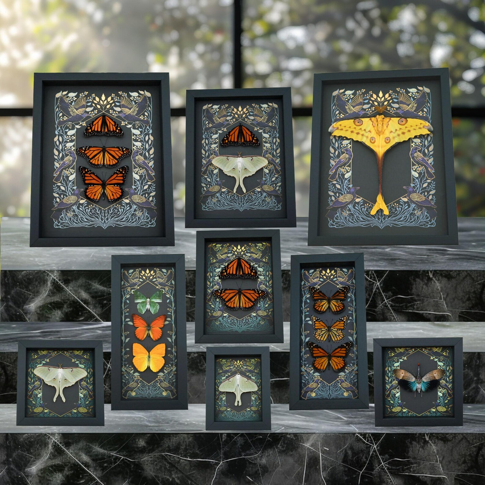 Pink Forester African Butterfly Euphaedra Xypete Real Framed Taxidermy ...