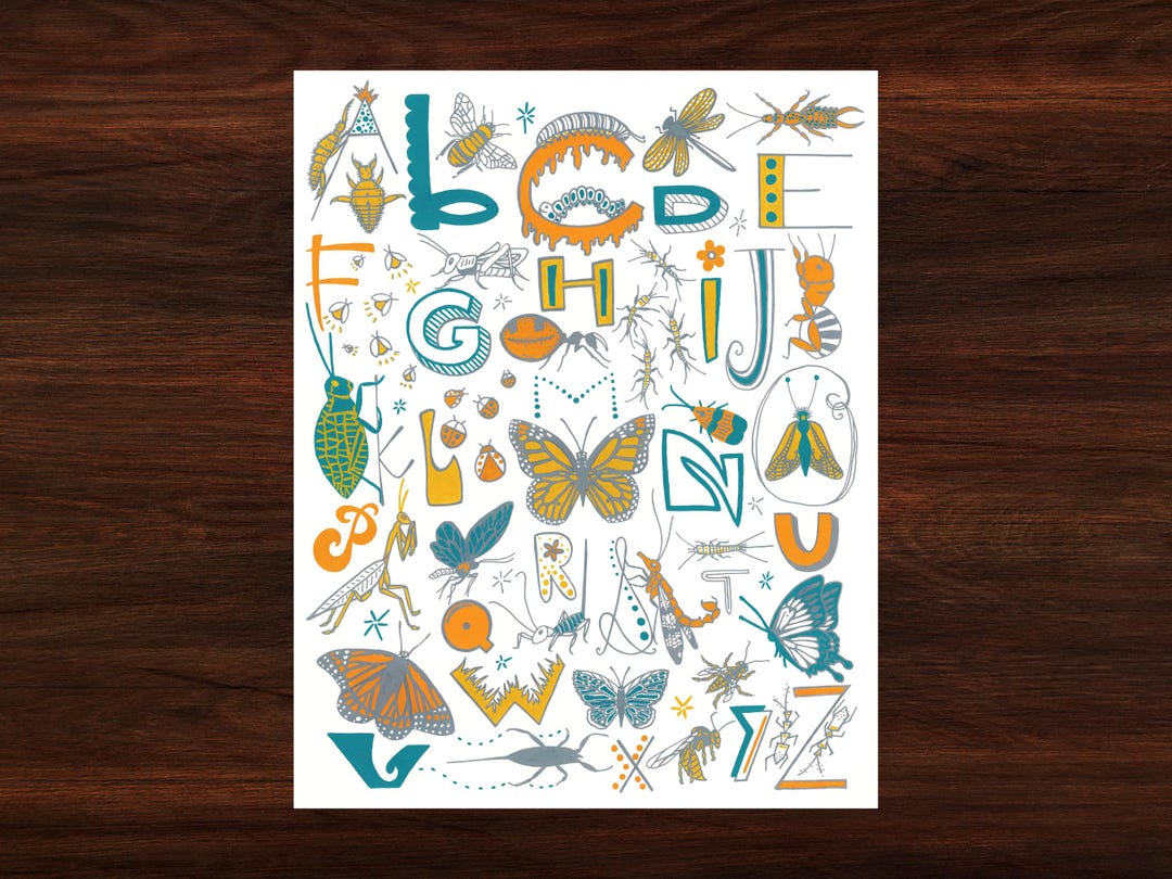 Insect Alphabet, Insect Art, Insects A-Z, School Decor, Kids Room Decor ...