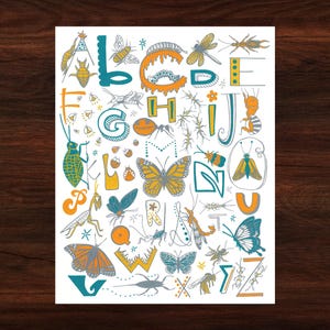 Insect Alphabet, Insect Art, Insects A-Z, School Decor, Kids Room Decor ...
