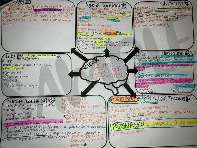 Med Surg Mind Maps For Nursing Students Nursing School Etsy