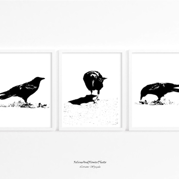 Three Crows - Etsy
