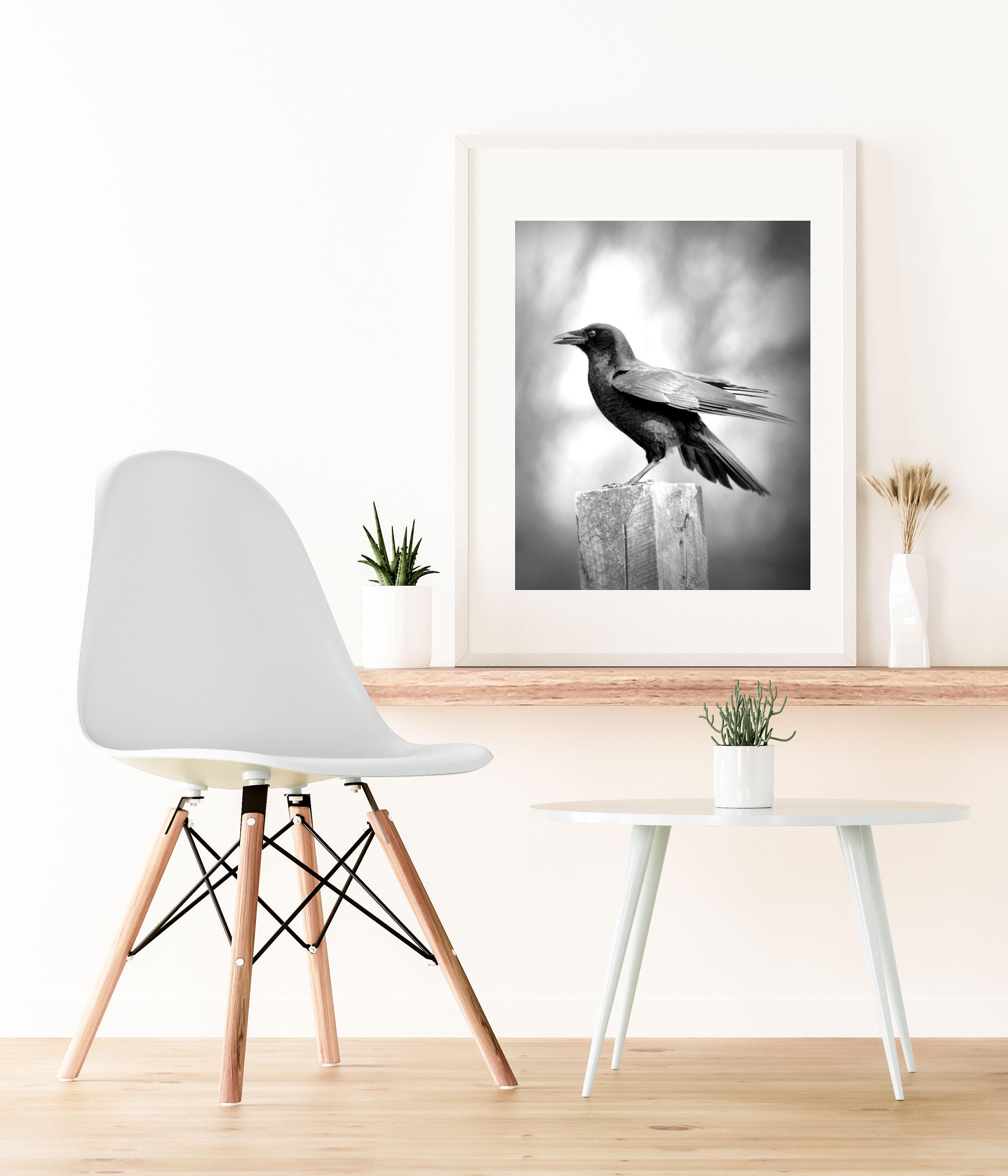 Black Crow Photography, American Crow Photography, Original Photography ...