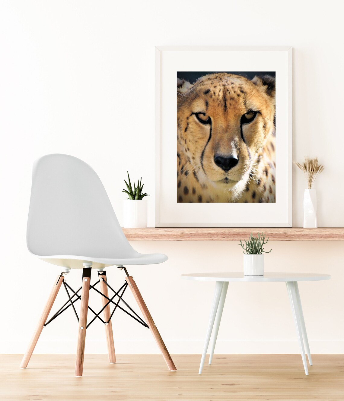 Cheetah Photography Big Cat Photo Cheetah Photos Animal - Etsy