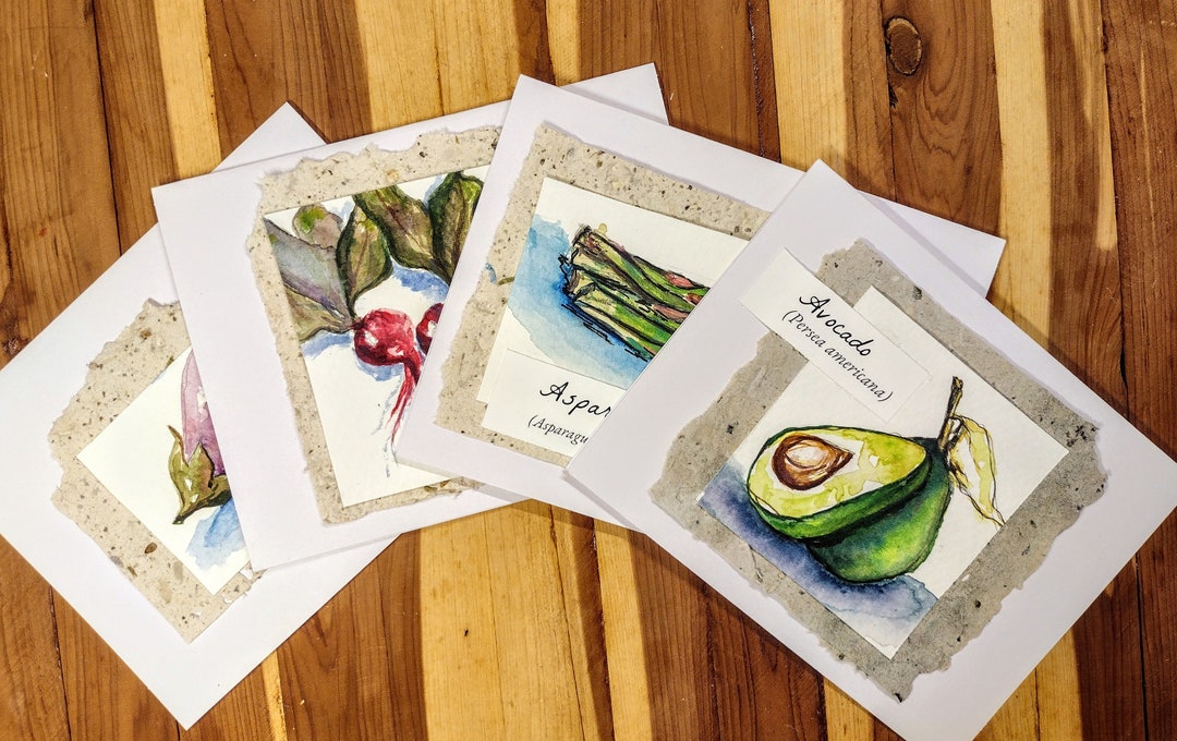 Eco-friendly Blank Note Cards - Etsy