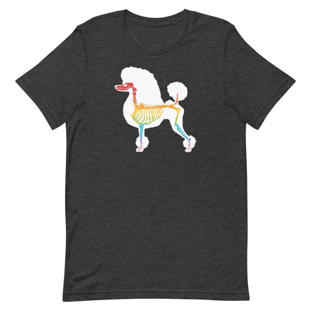 Rainbow Poodle Skeleton T-shirt - Etsy Canada