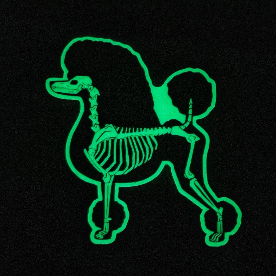 Glow in the Dark Poodle Skeleton 2.5” Continental Clip , Modified ...