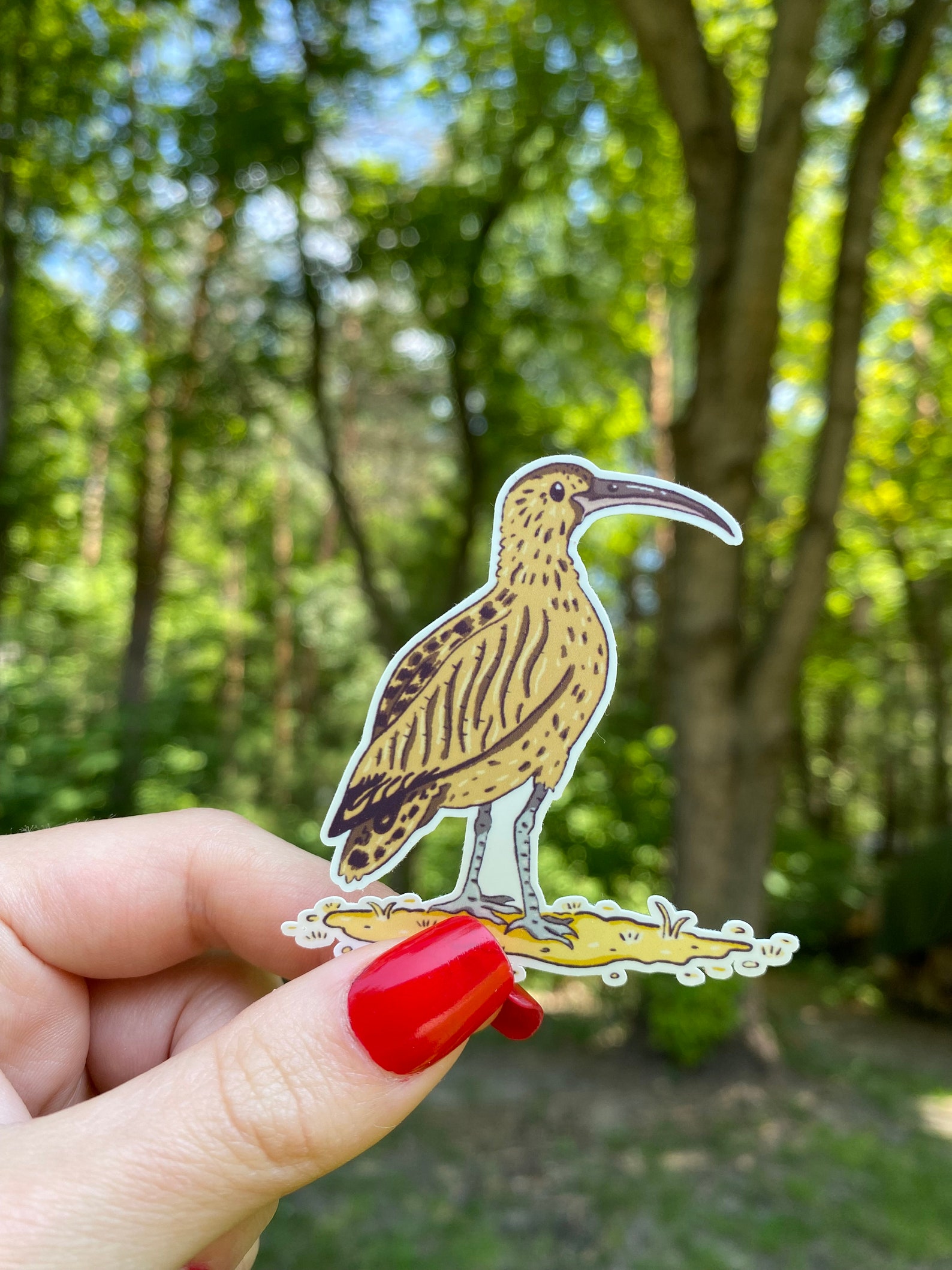 Long-billed Curlew Bird Sticker - Waterproof Vinyl Glossy Sticker ...