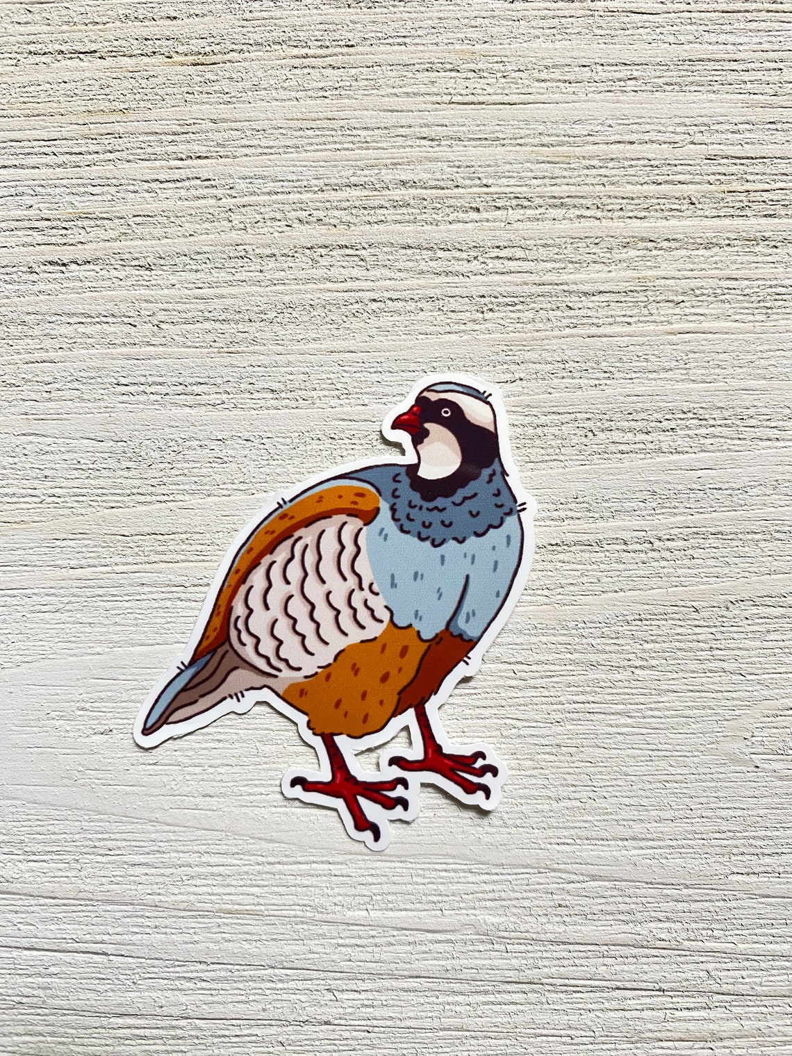 Chukar Partridge Bird Sticker - Waterproof Vinyl Glossy Sticker - Bird ...
