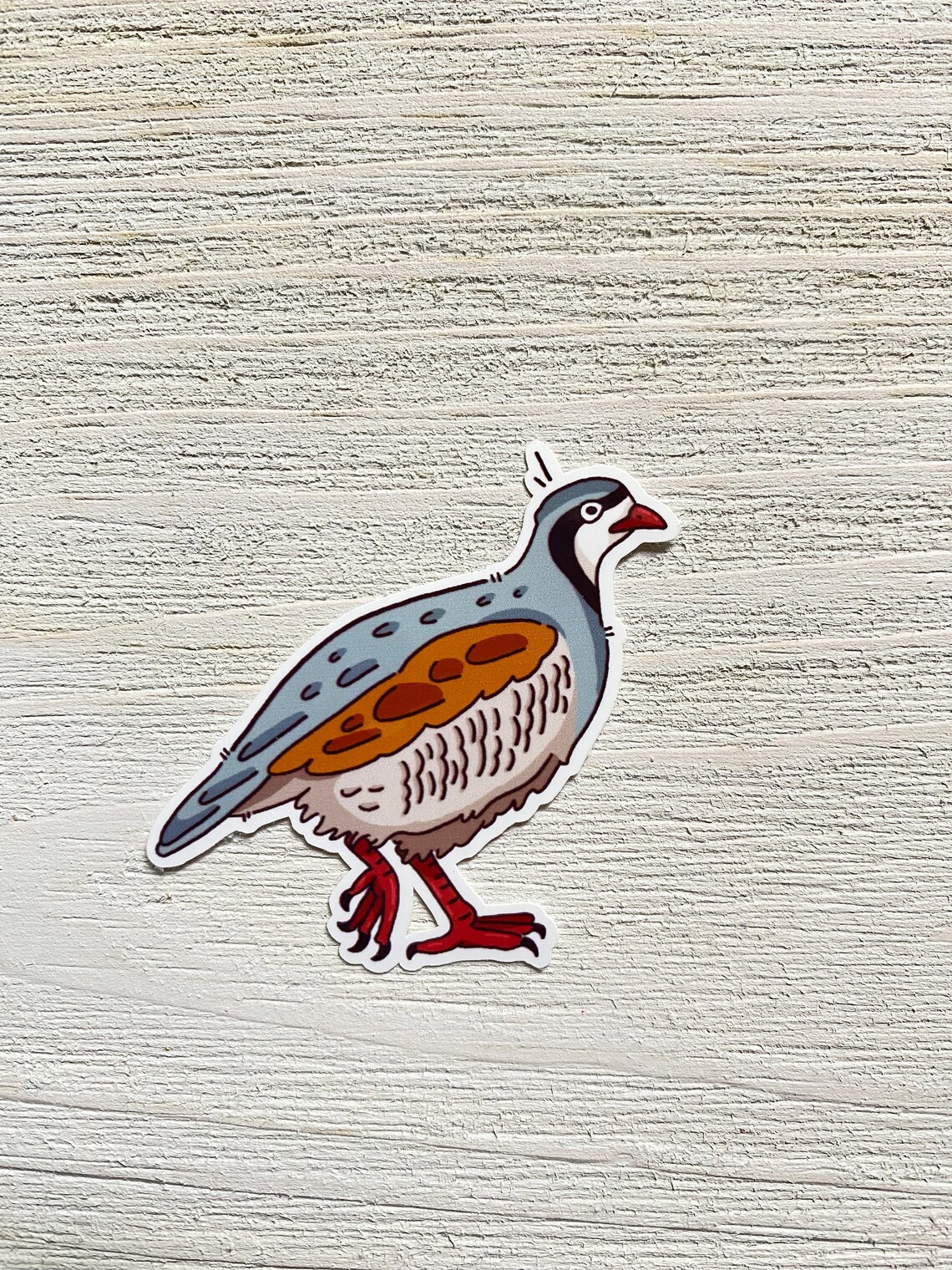 Chukar Partridge Bird Sticker - Waterproof Vinyl Glossy Sticker - Bird ...