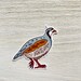 Chukar Partridge Bird Sticker - Waterproof Vinyl Glossy Sticker - Bird ...
