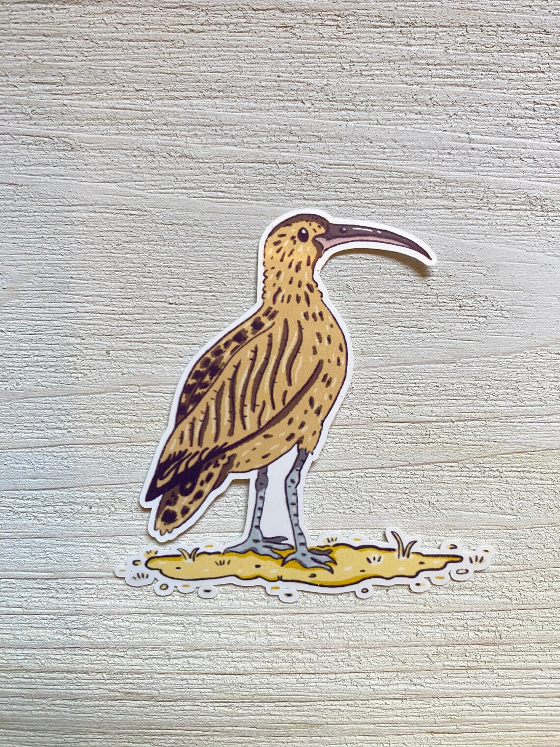 Long-billed Curlew Bird Art Sticker - Waterproof Vinyl - Etsy