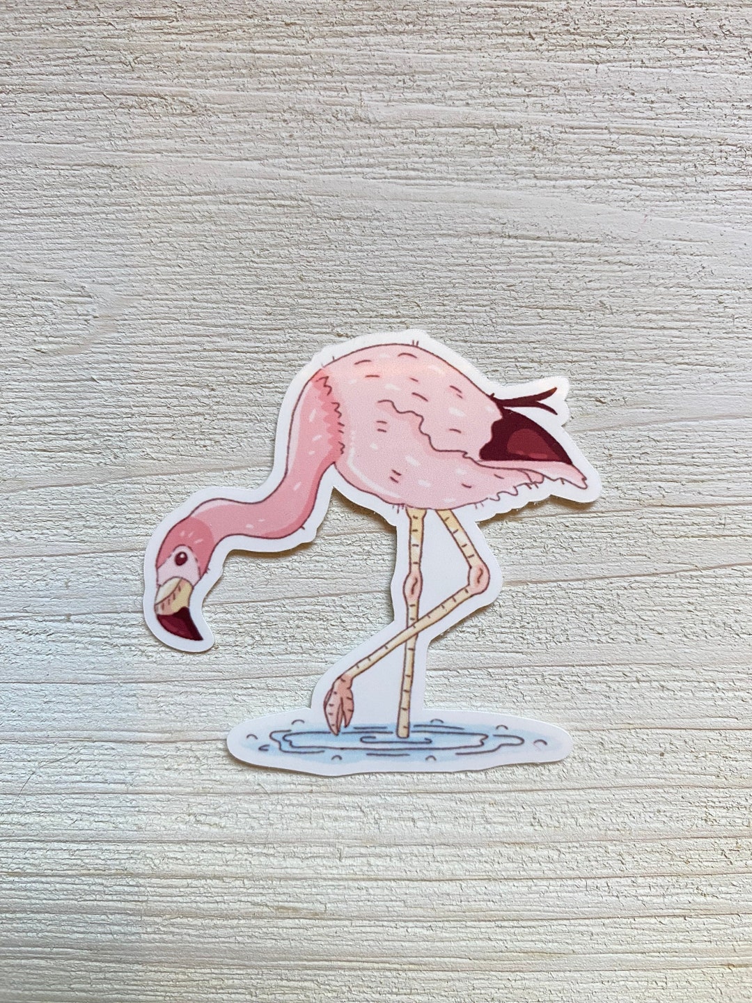 Andean Flamingo Bird Sticker - Waterproof Vinyl Glossy Sticker - Bird ...