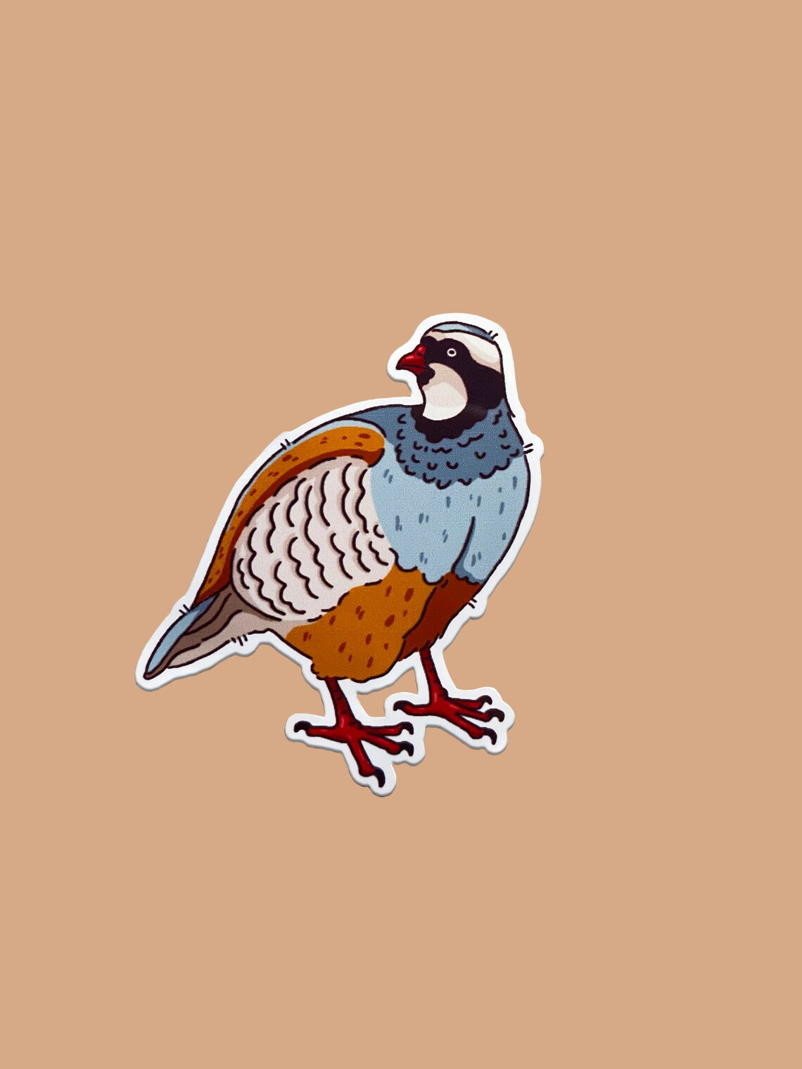 Chukar Partridge Bird Sticker - Waterproof Vinyl Glossy Sticker - Bird ...