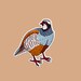 Chukar Partridge Bird Sticker - Waterproof Vinyl Glossy Sticker - Bird ...