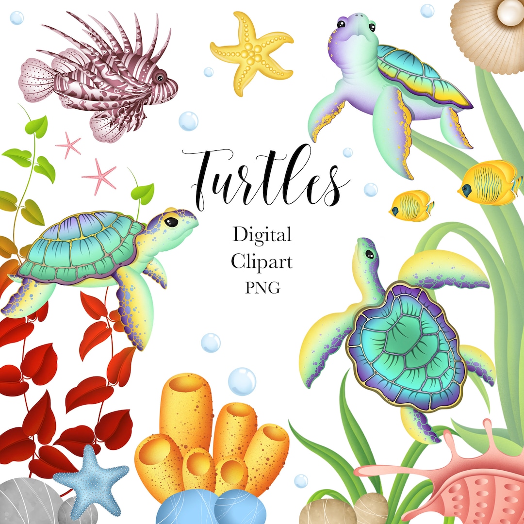 Turtles Digital Clipart, Sea World Clipart, Underwater Clipart ...