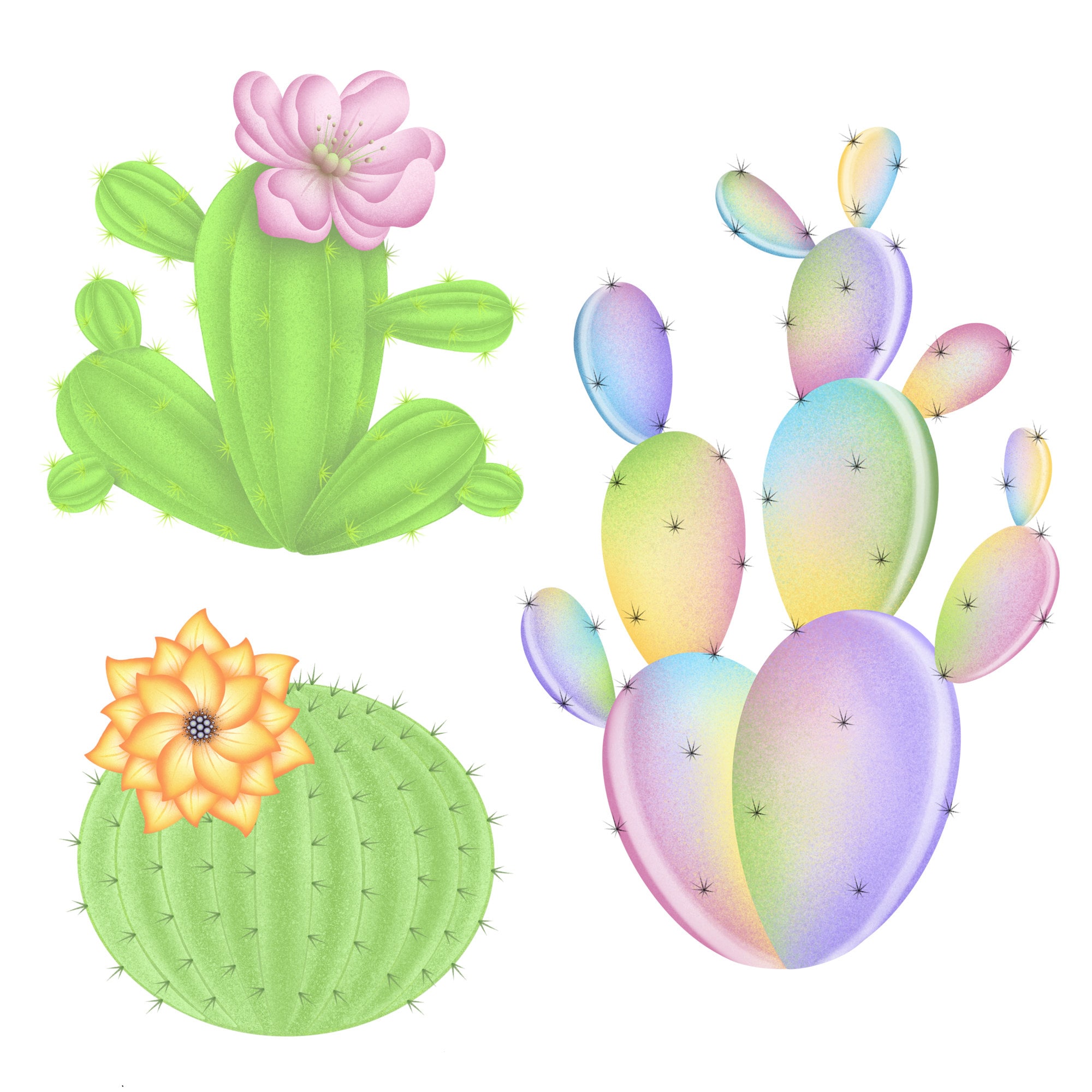 Llama Clipart Sale, Cactus Clipart, Llama Cactus Clipart, Clipart ...