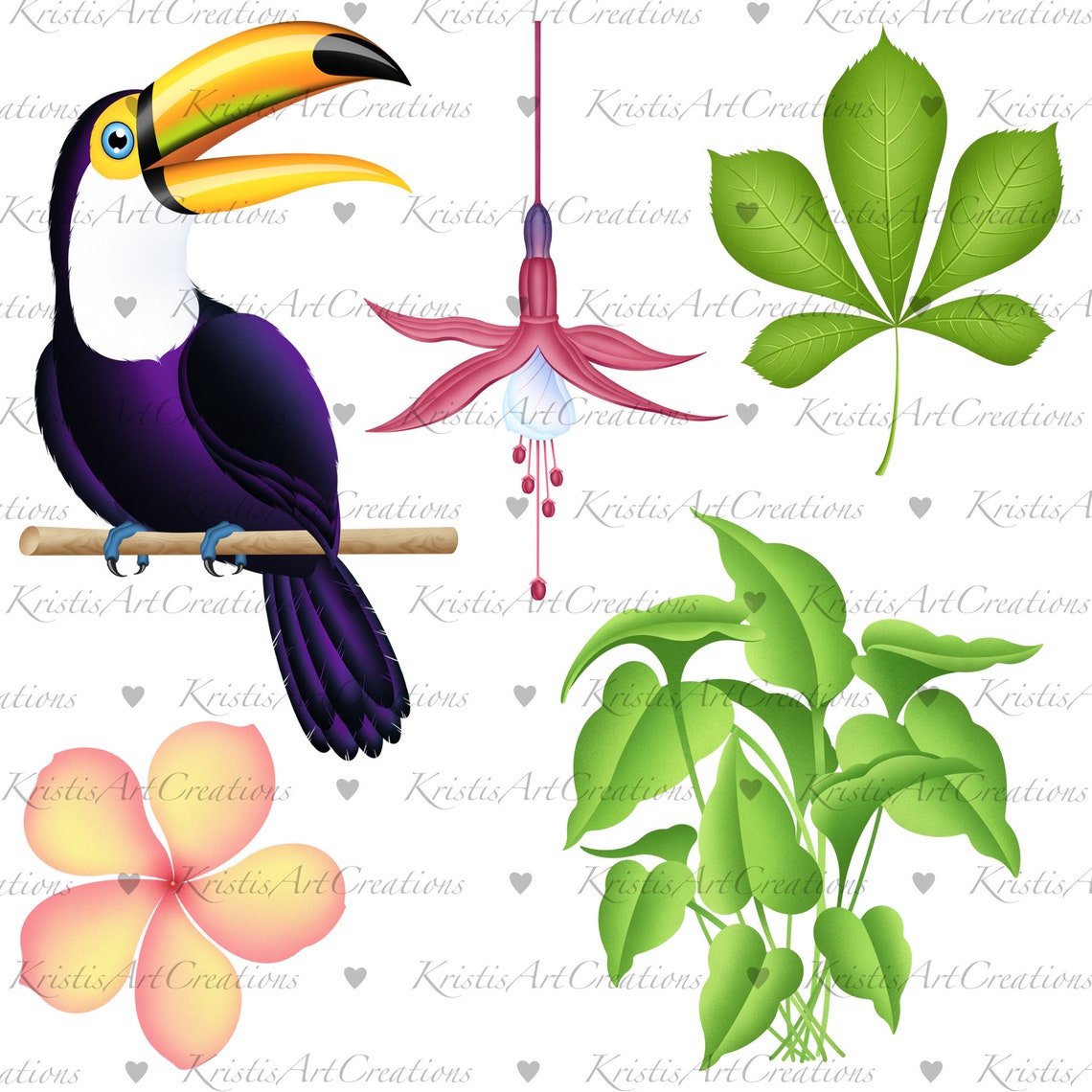Tropical Flowers Clipart, Tropicla Birds Clipart, Tropic Clipart ...