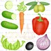 Vegetables Clipart, Food Clipart, Multicolor Clipart, Salad Clipart ...