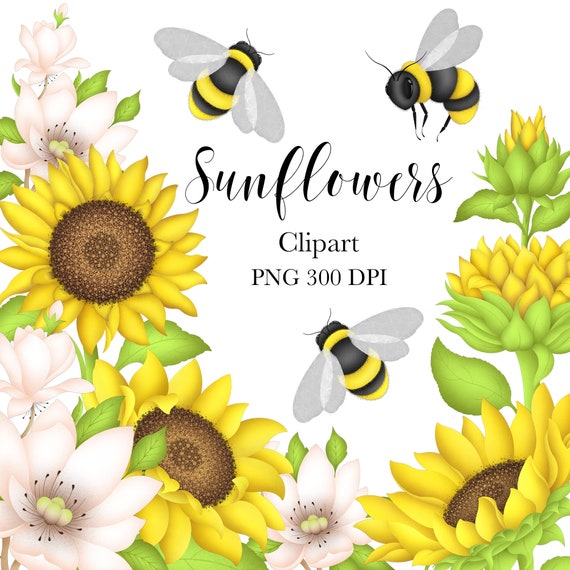 Sunflowers & Bees Clipart Digital Sunflowers Floral Clipart - Etsy
