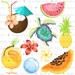 Hawaii Clipart, Aloha Clipart, Summer Clipart, Travel Clipart, Tropic ...