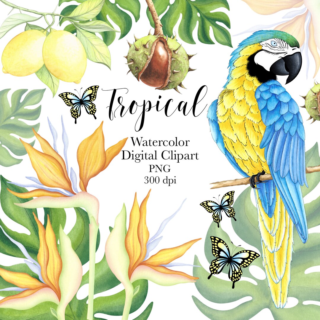 Watercolor Tropical Clipart, Tropical Clipart, Summer Digital Clipart ...