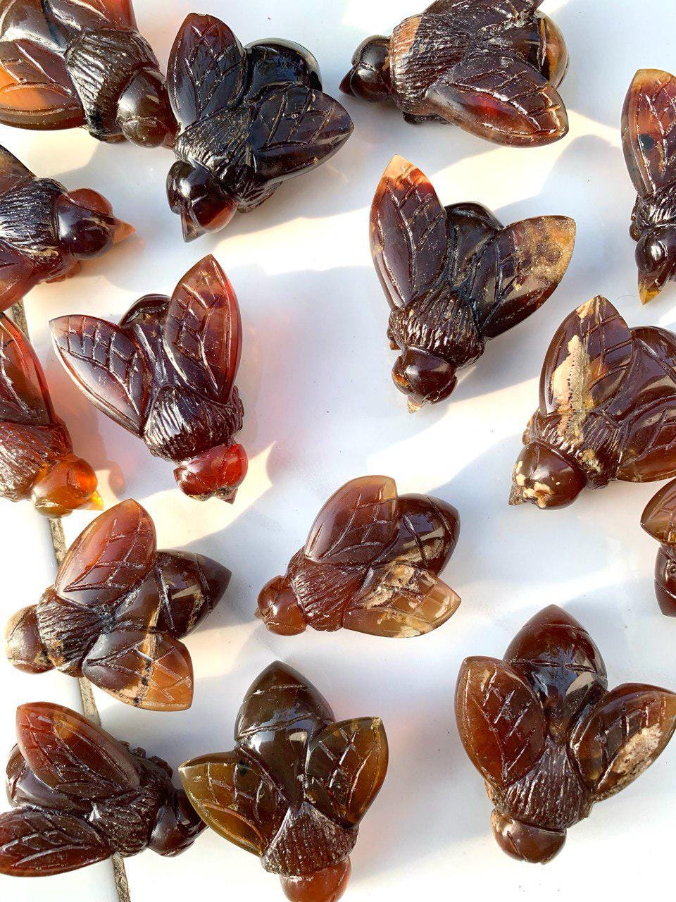 Amber Bees | 100% Genuine Amber Bees | Amber - Etsy
