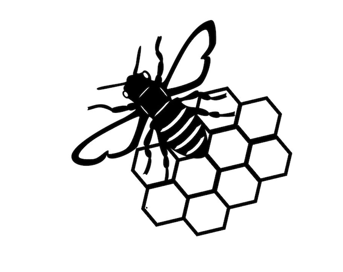 Bee With Honey Comb...svg or PNG - Etsy