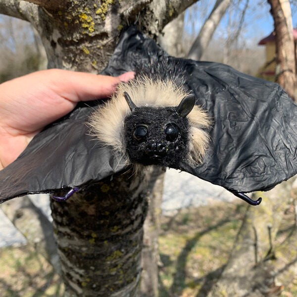 Taxidermy Bat - Etsy