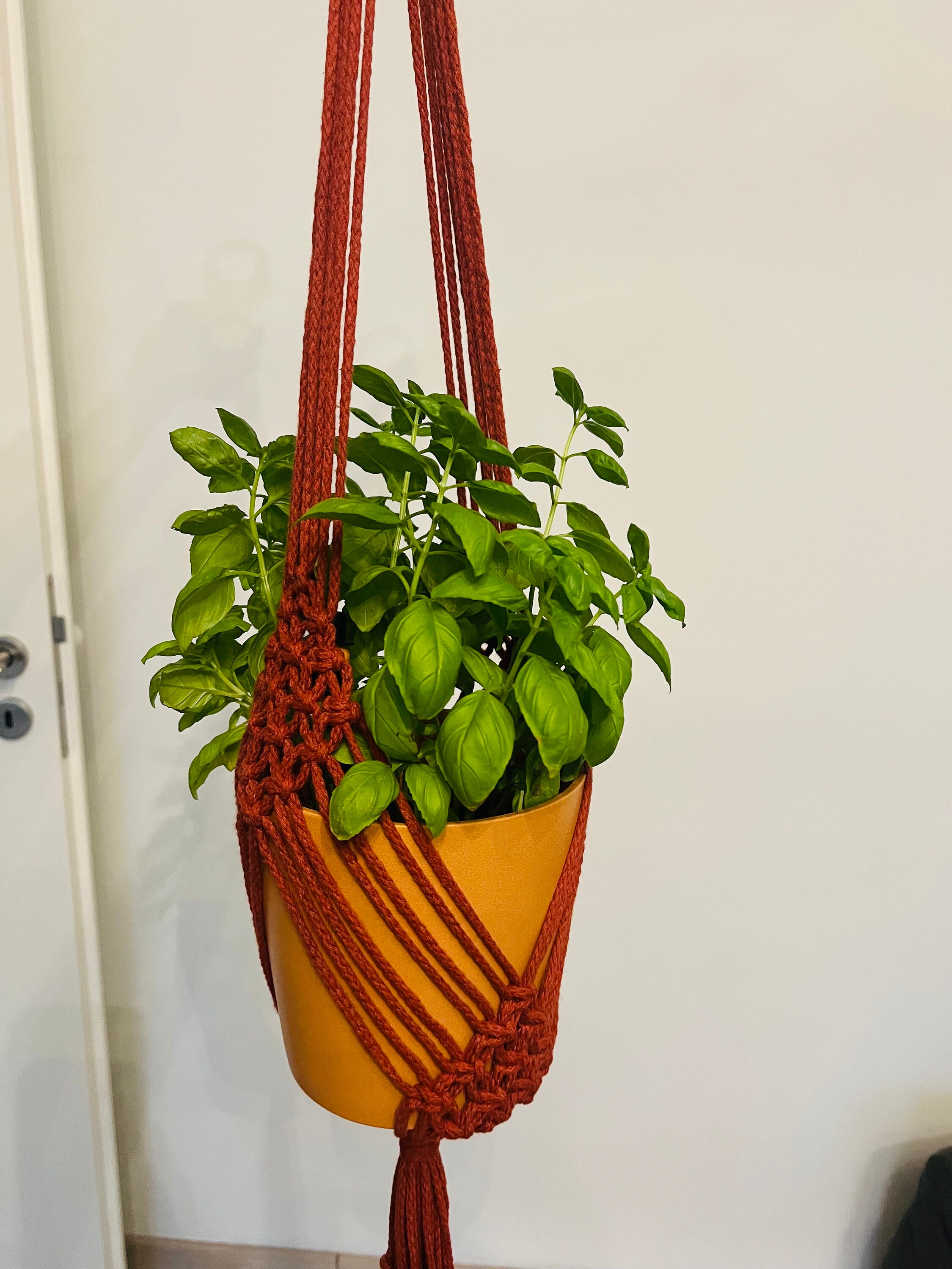 Blumenampel makramee | Makramee Blumenampel | makrame Blumenampel ...