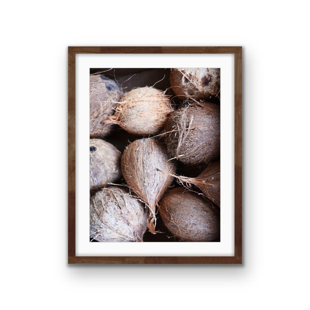 Coconuts Fine Art Photography Print – Tropical Wall Decor (digital ...