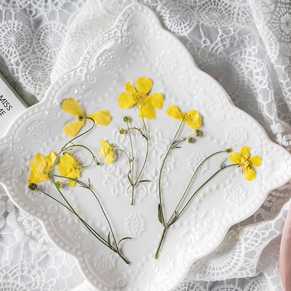 Dried Ranunculus - Etsy